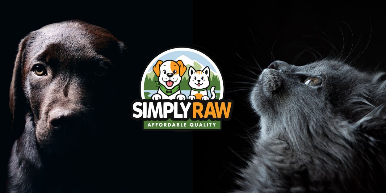Complete Guide To Raw Feeding Benefits Tips Advice For Healthier Pets