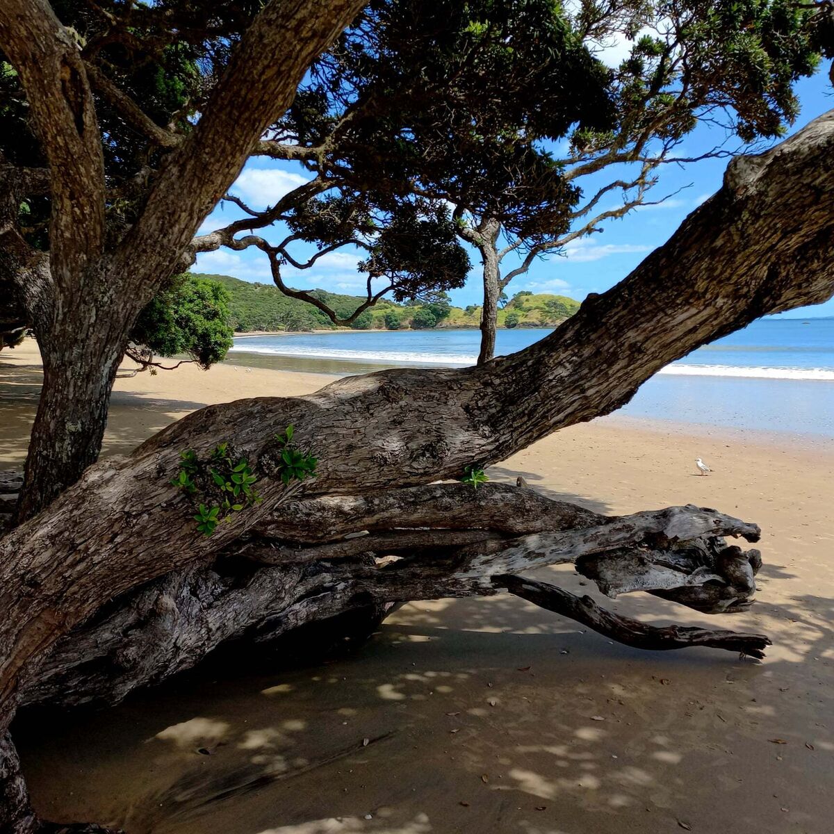 The Official New Zealand Truck Loading Code