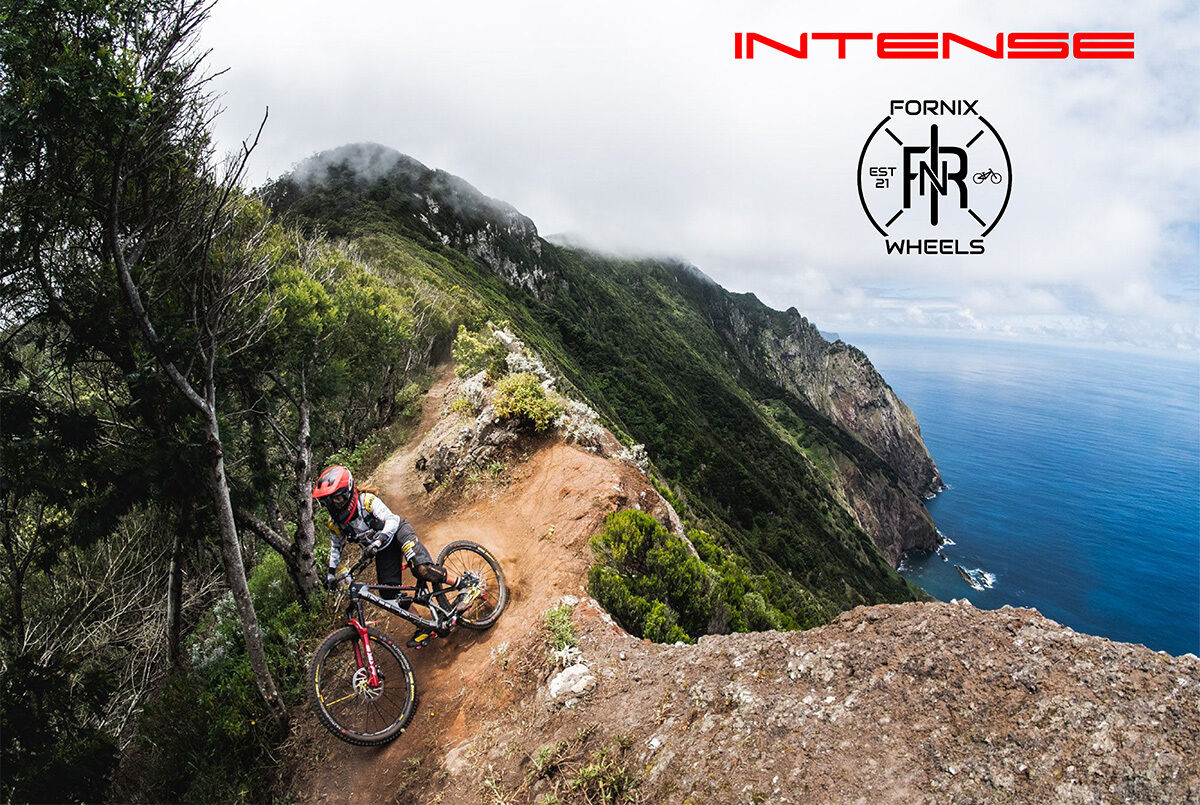 Intense and 951 Series Bikes