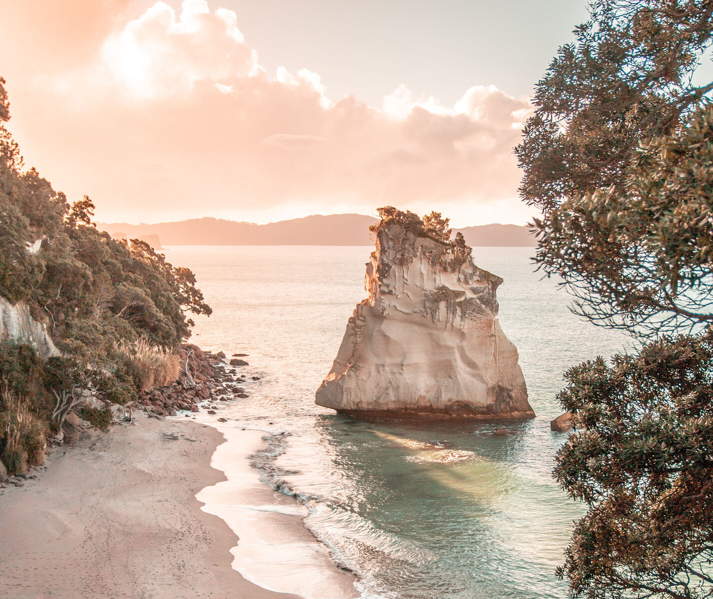 Cove.Beach Essentials