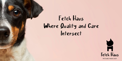 Fetch Haus